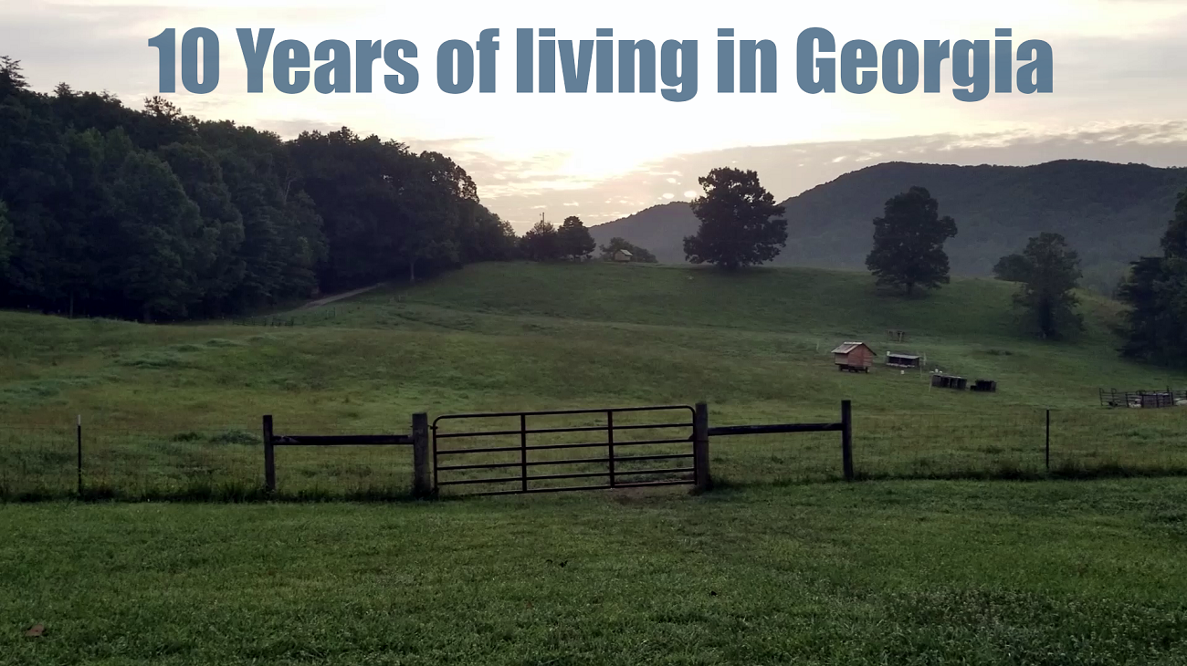 Ten Years of living in Georgia