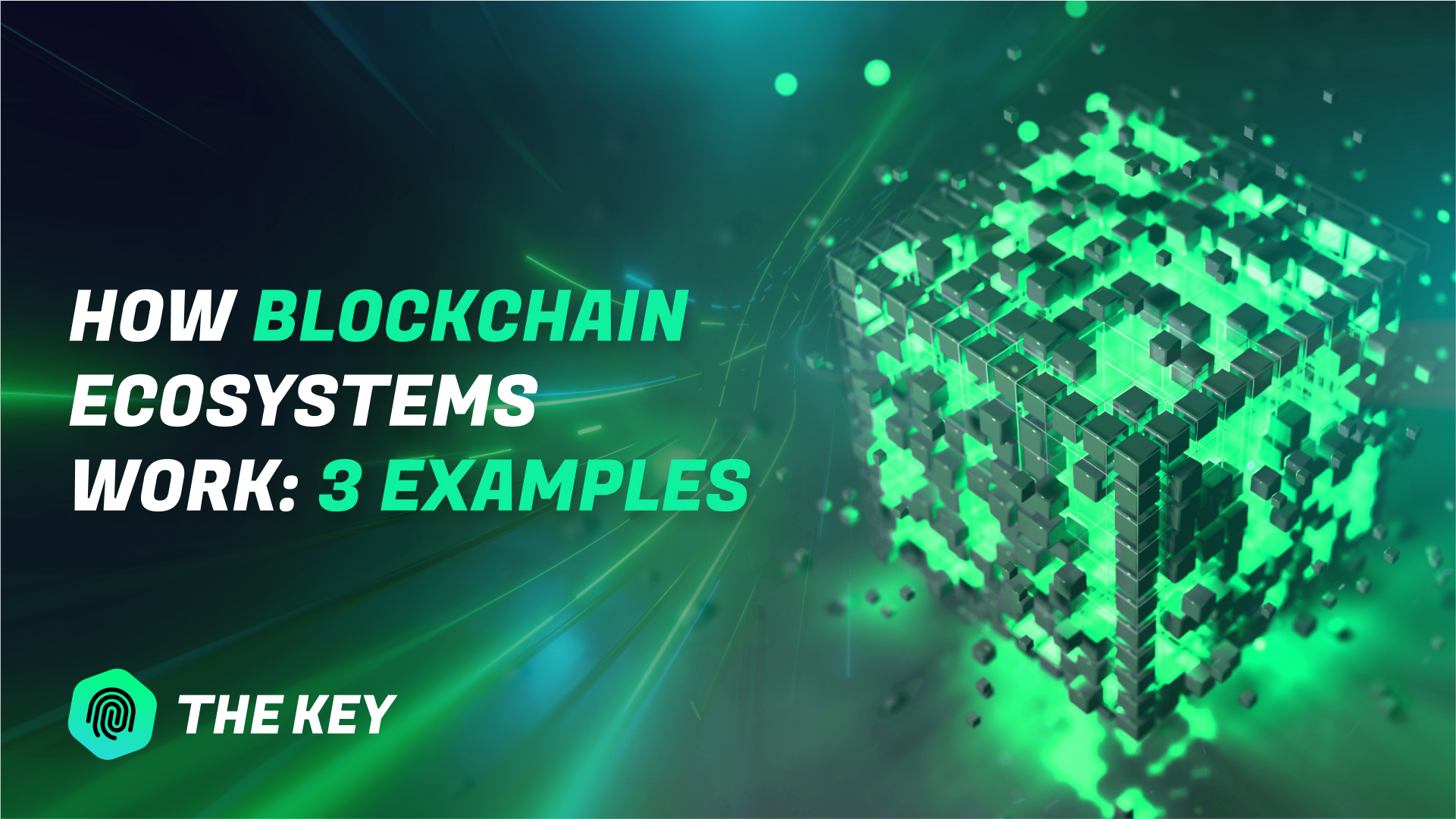 How blockchain ecosystems work: 3 examples