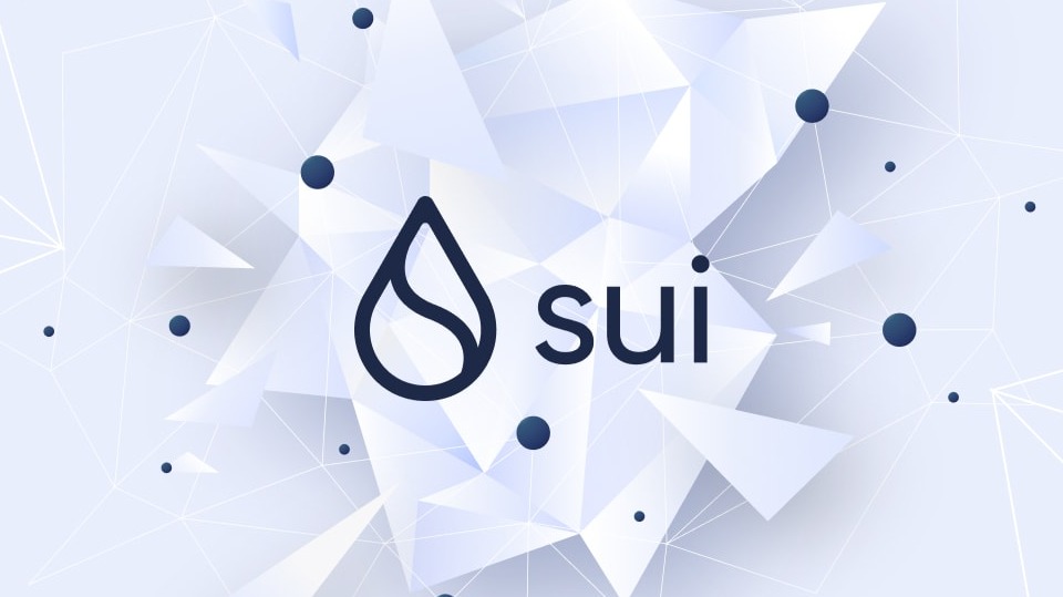 SUI Blockchain - Full Testnet Guide