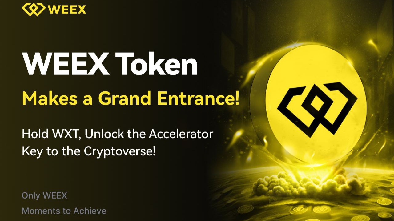 WXT: What You Need To Know About WEEX's Native Token