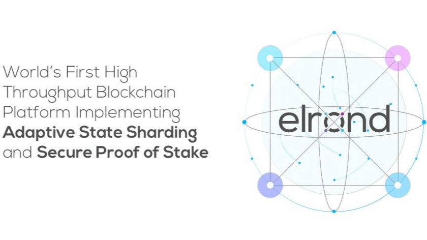 What is Elrond network?
