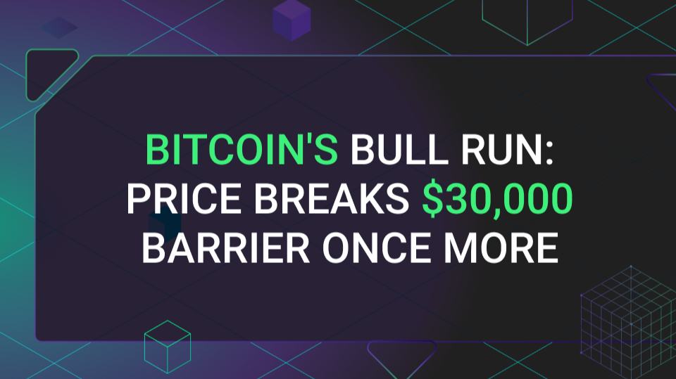 Bitcoin's Bull Run: Price Breaks $30,000 Barrier Once More