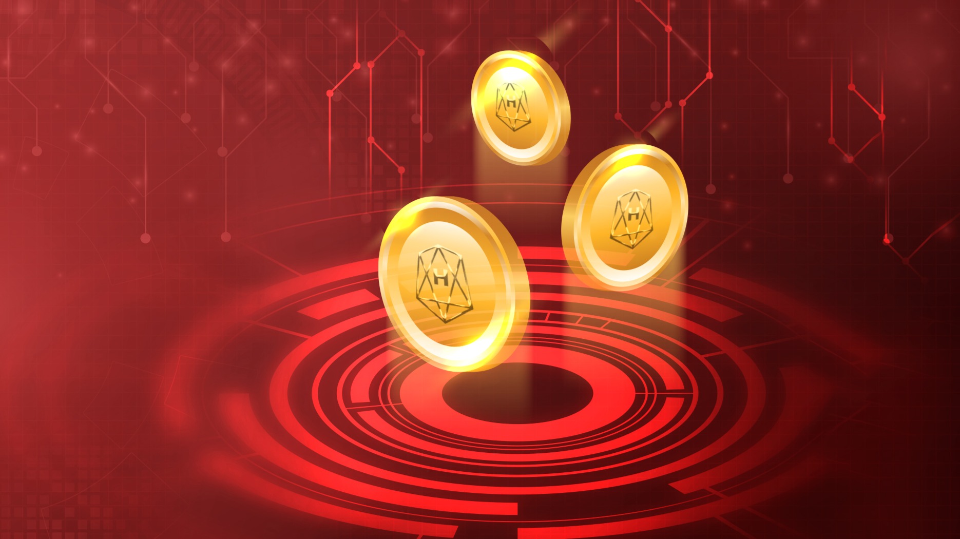 HALO Stablecoin: What Is It And Why Should You Care