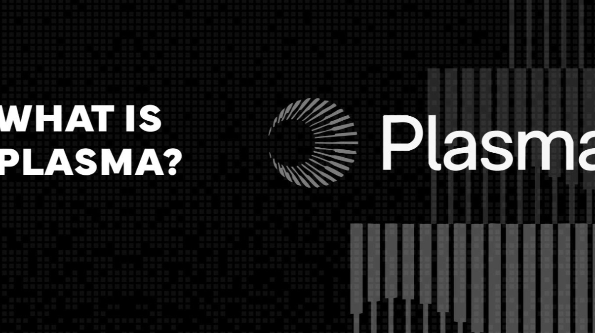 USDT transfers without fees. What is the Plasma cryptoproject?