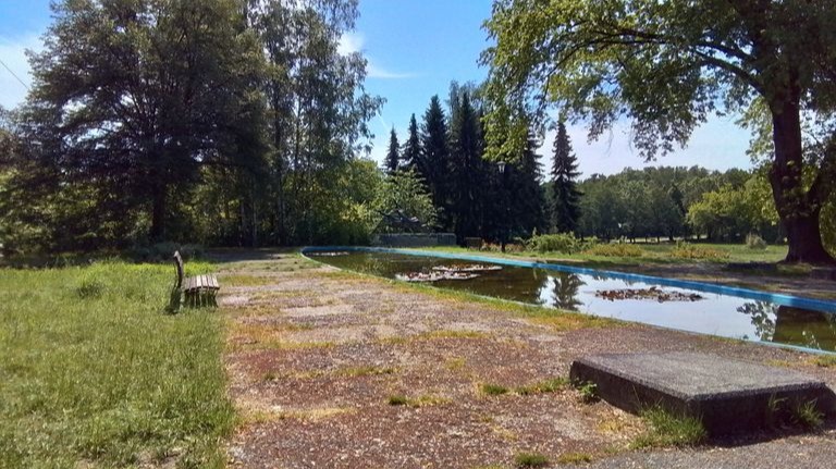 A pleasant and intense walking Tuesday - My Actifit Report Card: May 21 ...