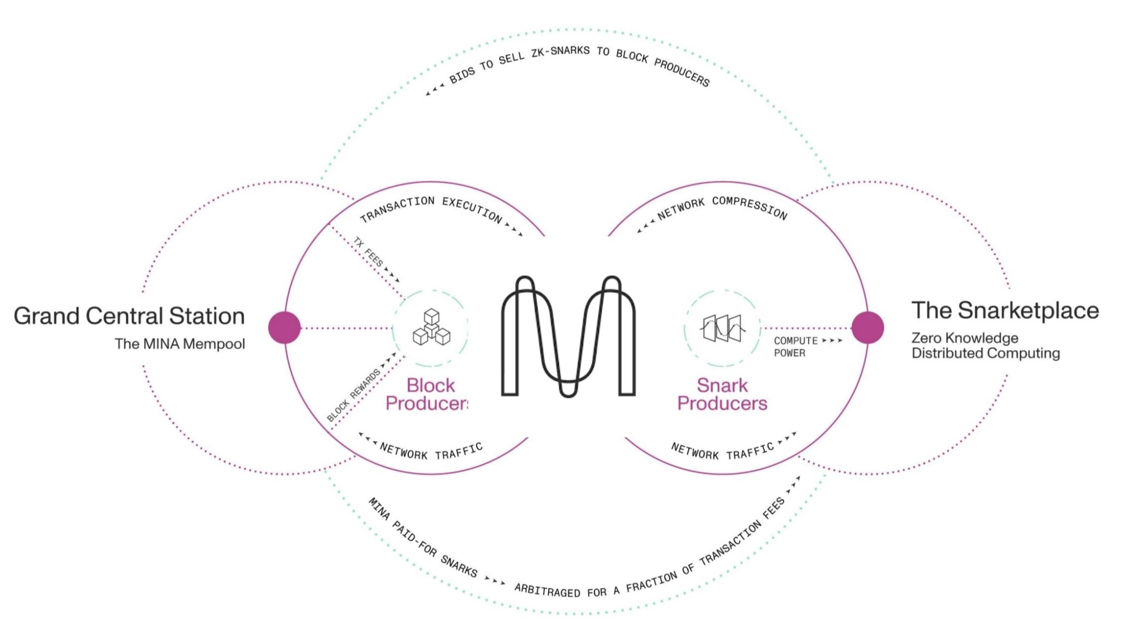 What Is MINA Protocol & How Does It Work(Updated)?