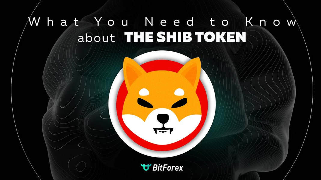 Shib Token is a Token which you must Invest in
