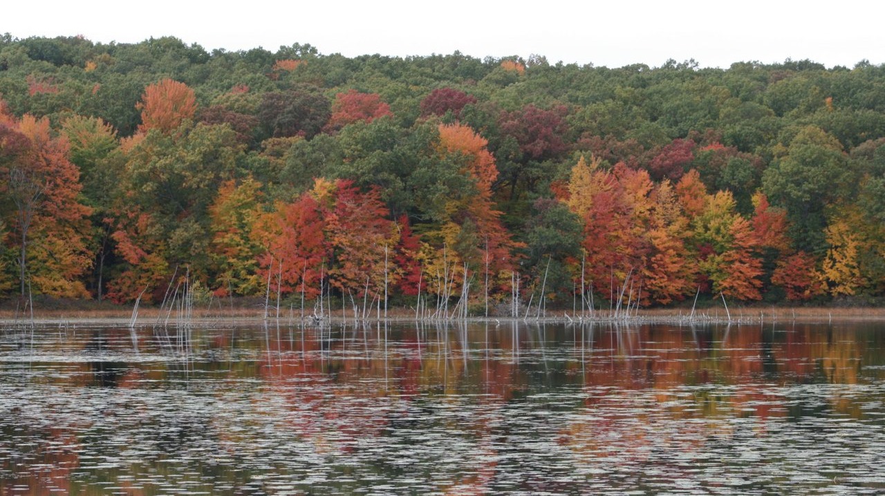 Wednesday Walk - Fall Walk Around the Lake