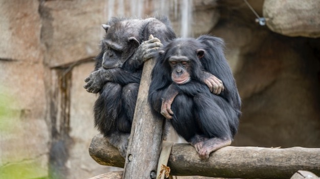 Boring crypto coins in 2024