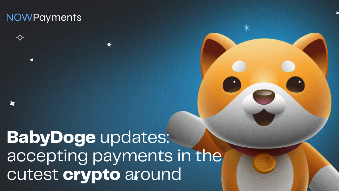 BabyDoge Updates: Accepting Payments in the Cutest Crypto Around