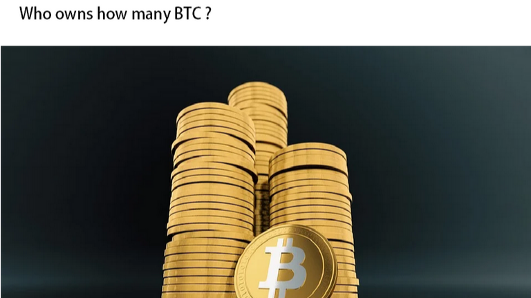 What kind of Bitcoiner are you?