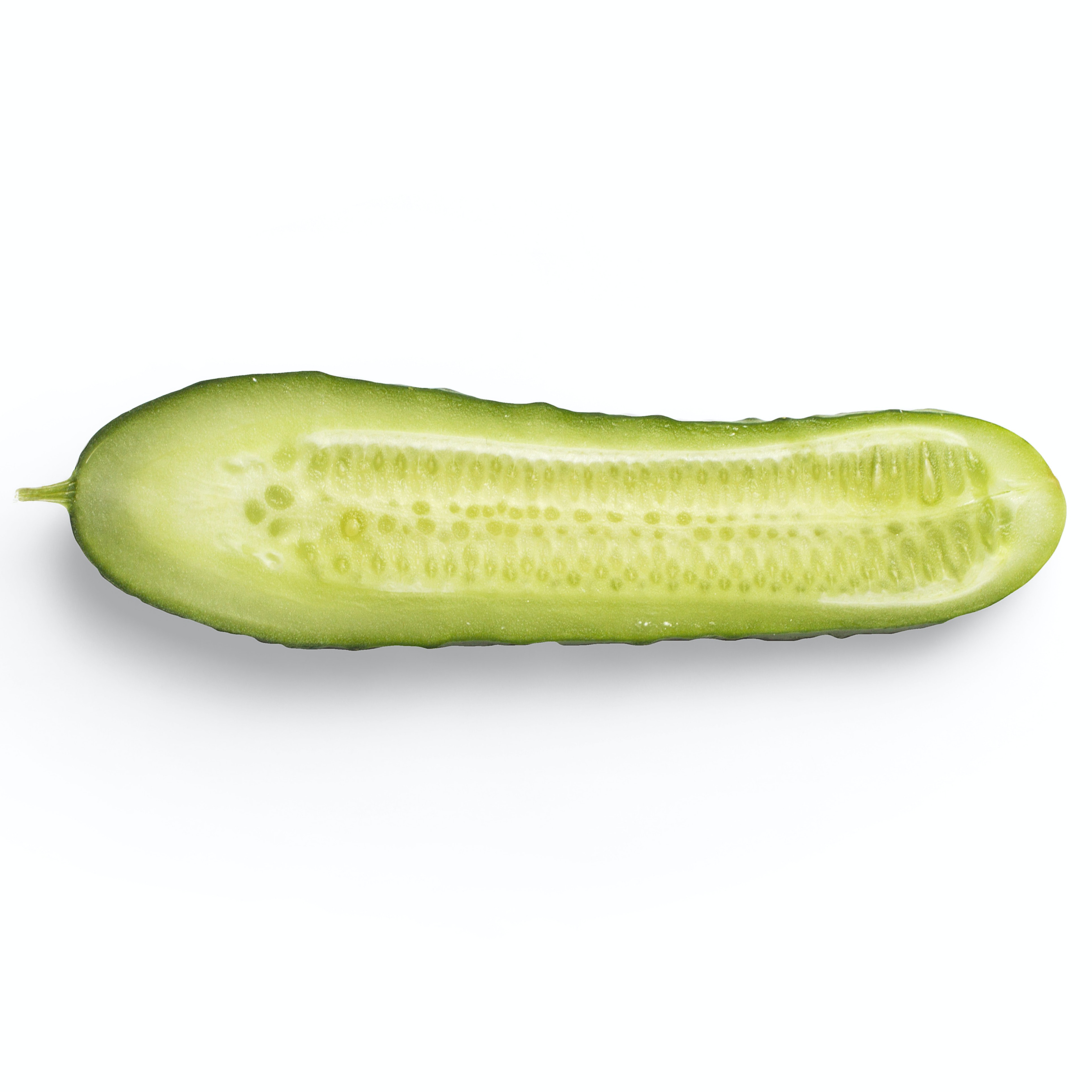 Inside The Pickle | Publish0x