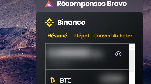 Today Binance is available with your Brave browser
