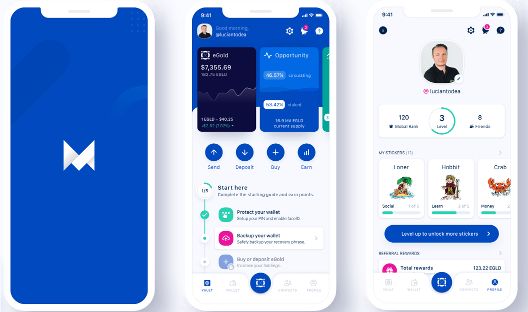 One Blockchain To Rule Them All? Elrond Project Overview