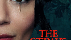 Netflix Film Review - The Strays