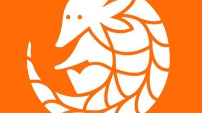 Complexity of CryptoMainNets and the Pangolin Airdrop experience