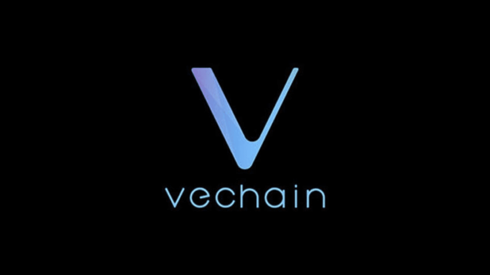 VeChain - An Inside Look