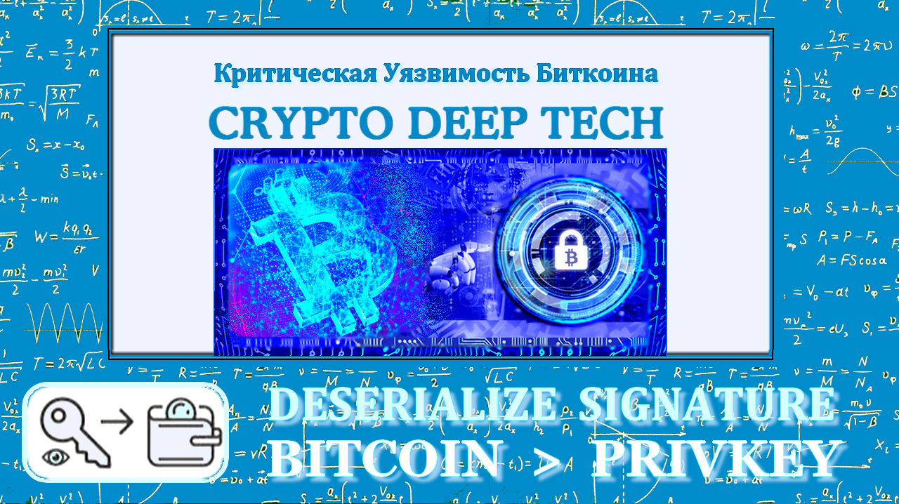DeserializeSignature Vulnerability in the Bitcoin network: cryptanalysis, consequences and the ...