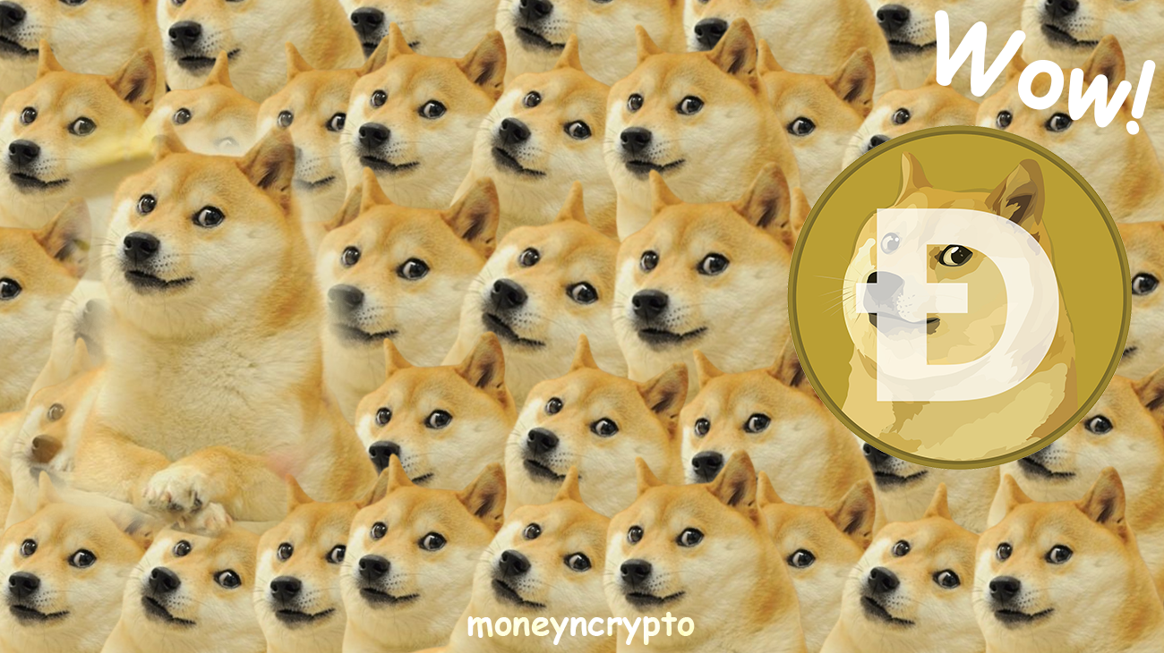 Meet Kabosu: The Famous Dog Behind The Meme