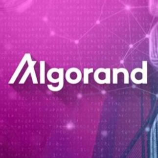 Algorand Ecosystem | Publish0x