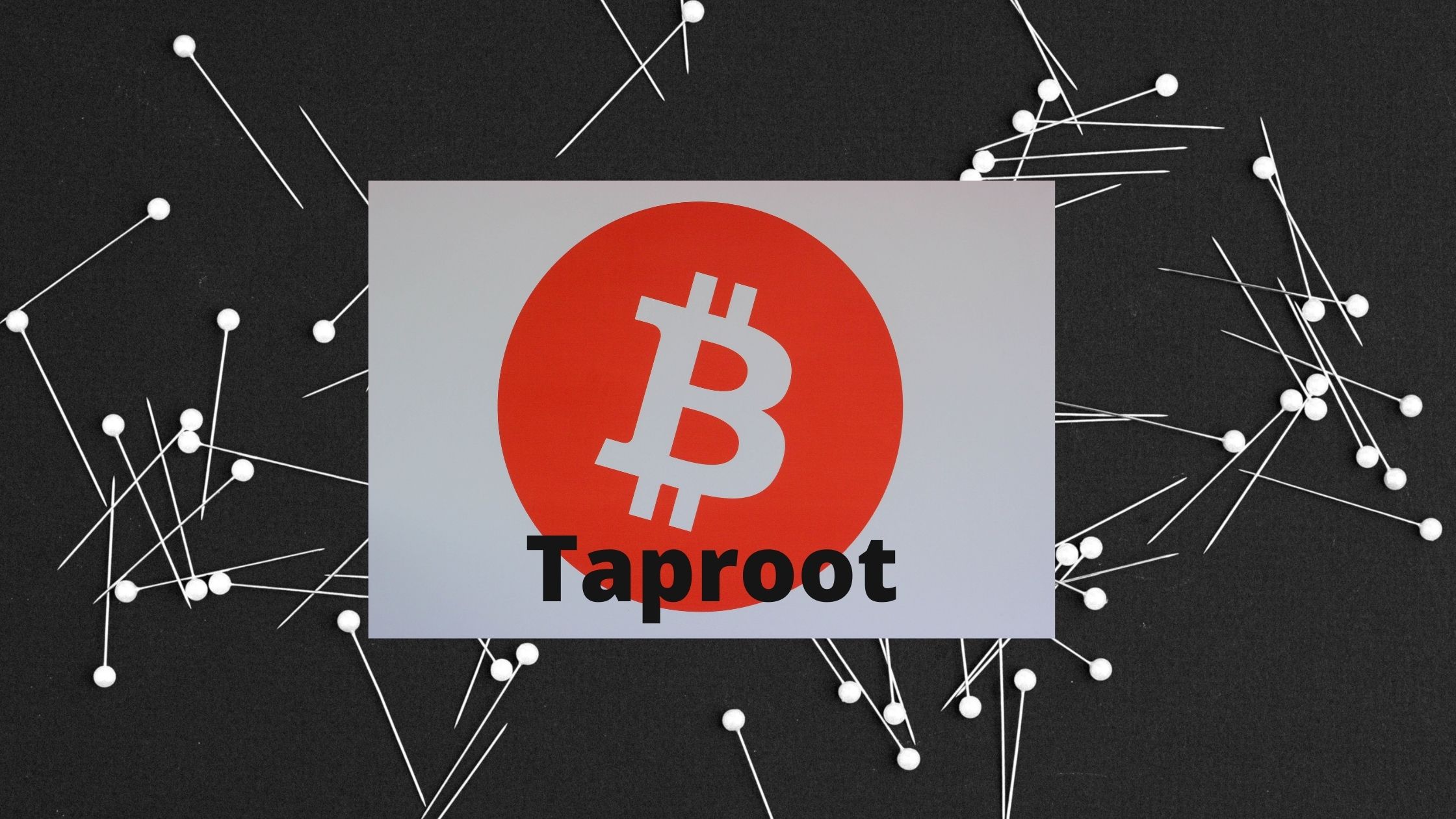 What Is Bitcoin Taproot Activation and How Does It Changes Bitcoin Forever?