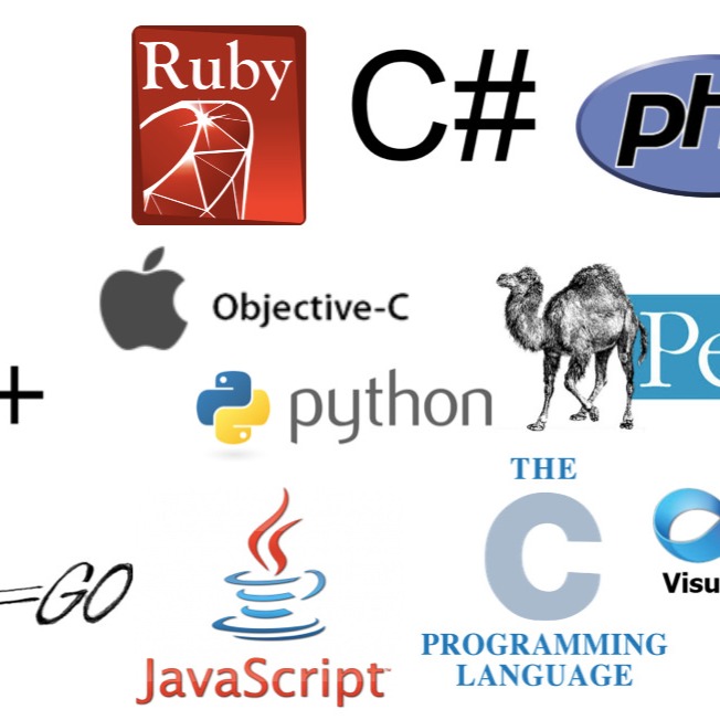 Top Computer Programming Languages in 2021 | Publish0x