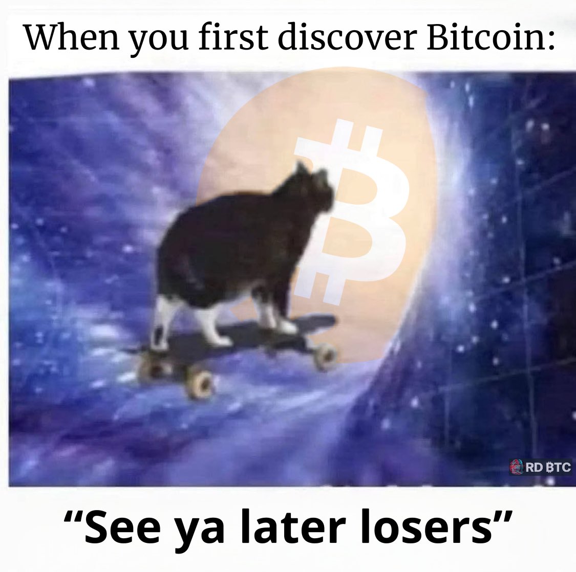 Your Daily Dose of Bitcoin Memes, 12/12/23