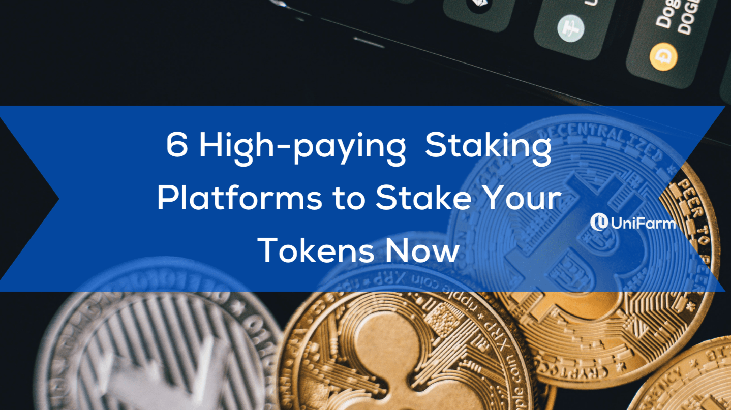 6 High-Paying Staking Platforms to Stake Your Tokens Now