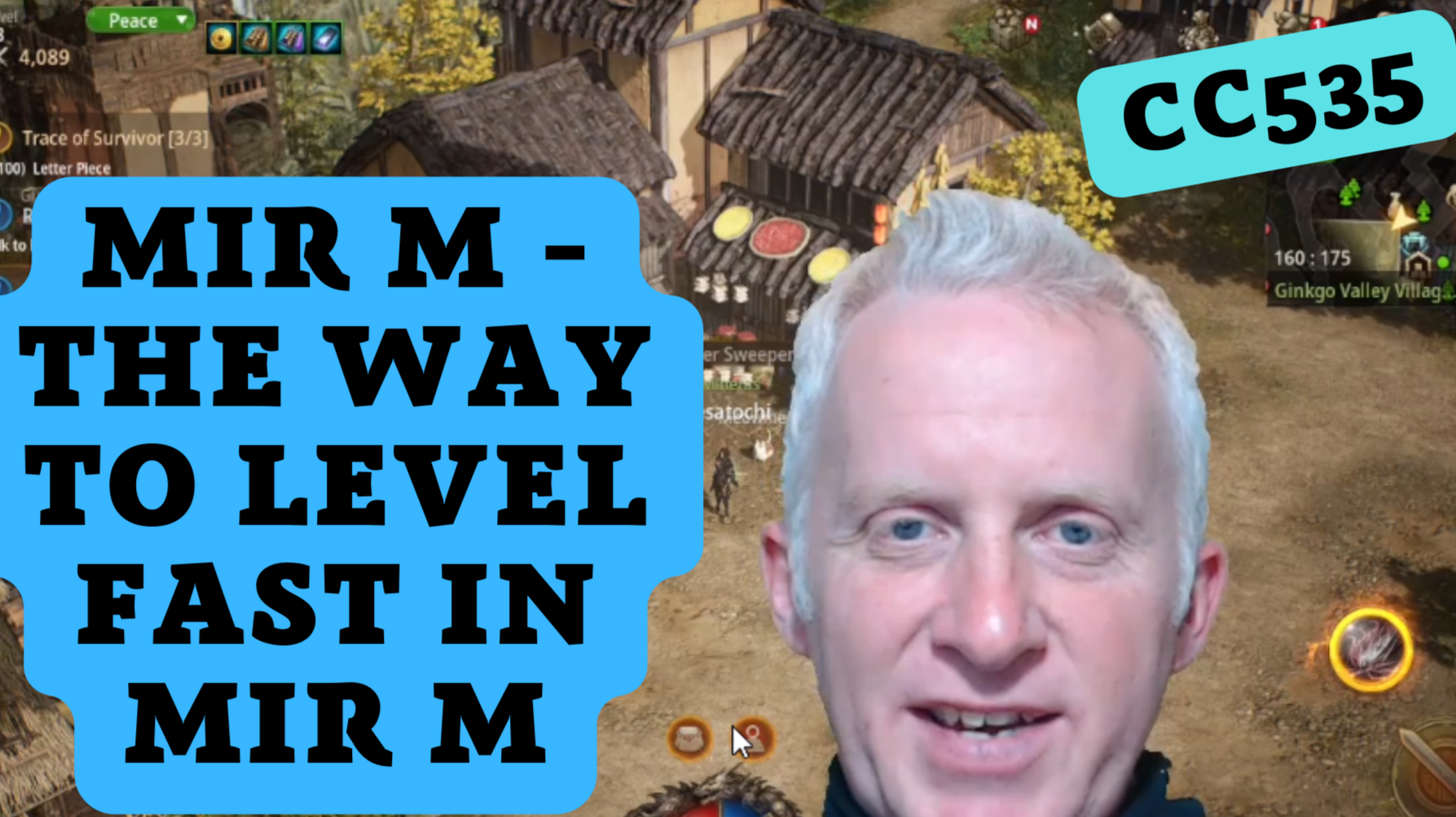 Leveling Fast in MIR M