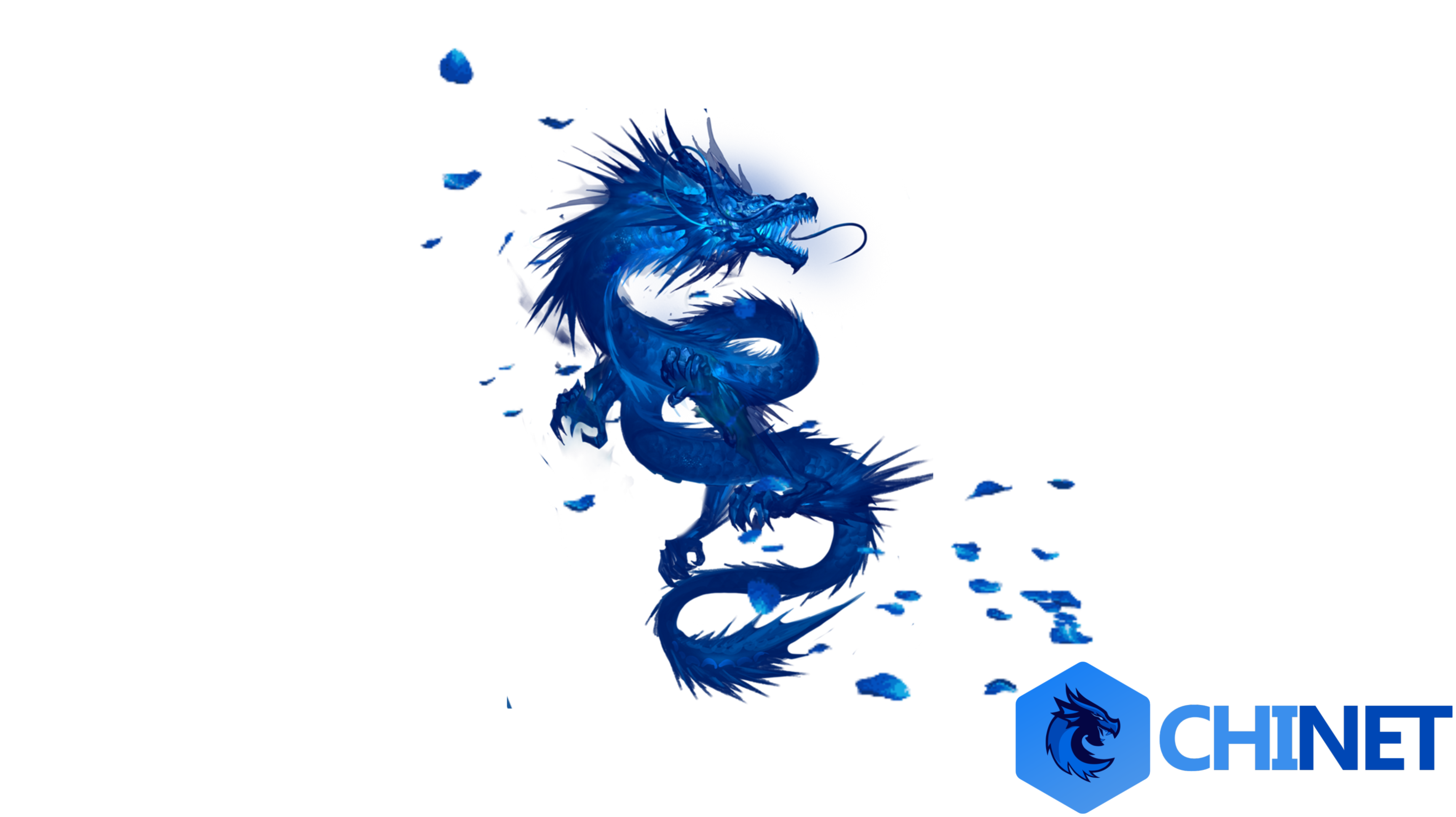 Chinet(CHN) - The Flower Evolved Into a Dragon