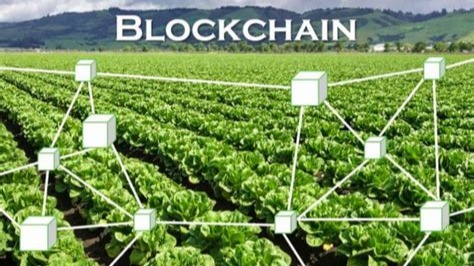 Blockchains Can Revolutionize Agriculture/Farming: 3 Ways How & 10 Example Companies