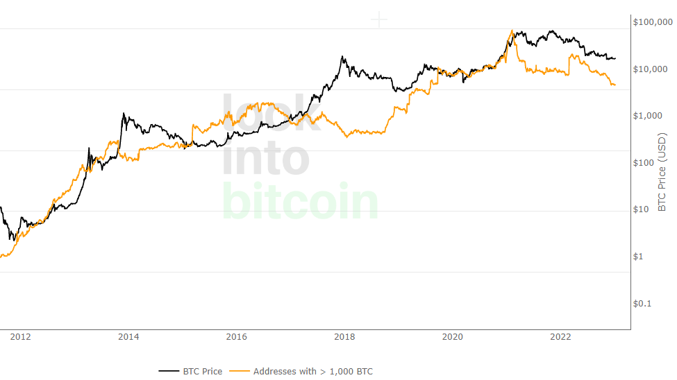 The Fish and Whales Show