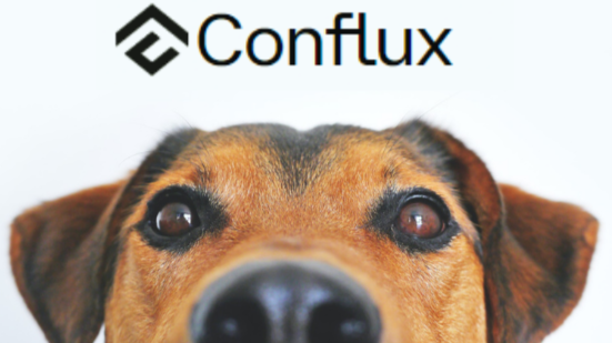 What is Conflux (CFX)?