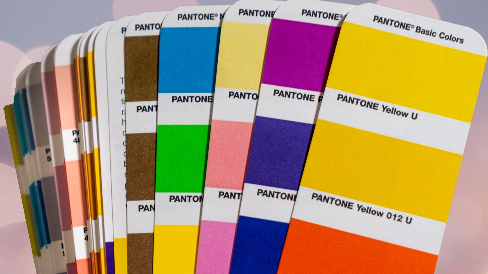 Creating a Cohesive Color Scheme: Incorporating Color in Minimalist Spaces