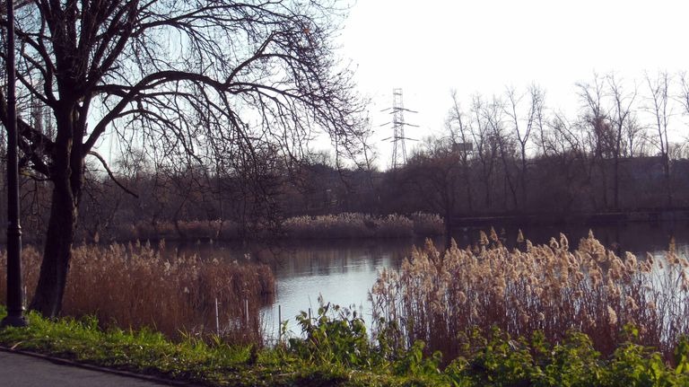 Beautiful spring landscapes. Lots of sun - something amazing - My ...