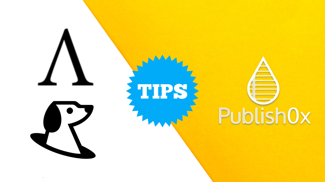 Discovering Ampleforth: The Volatile Stablecoin and Its Derivative Spot