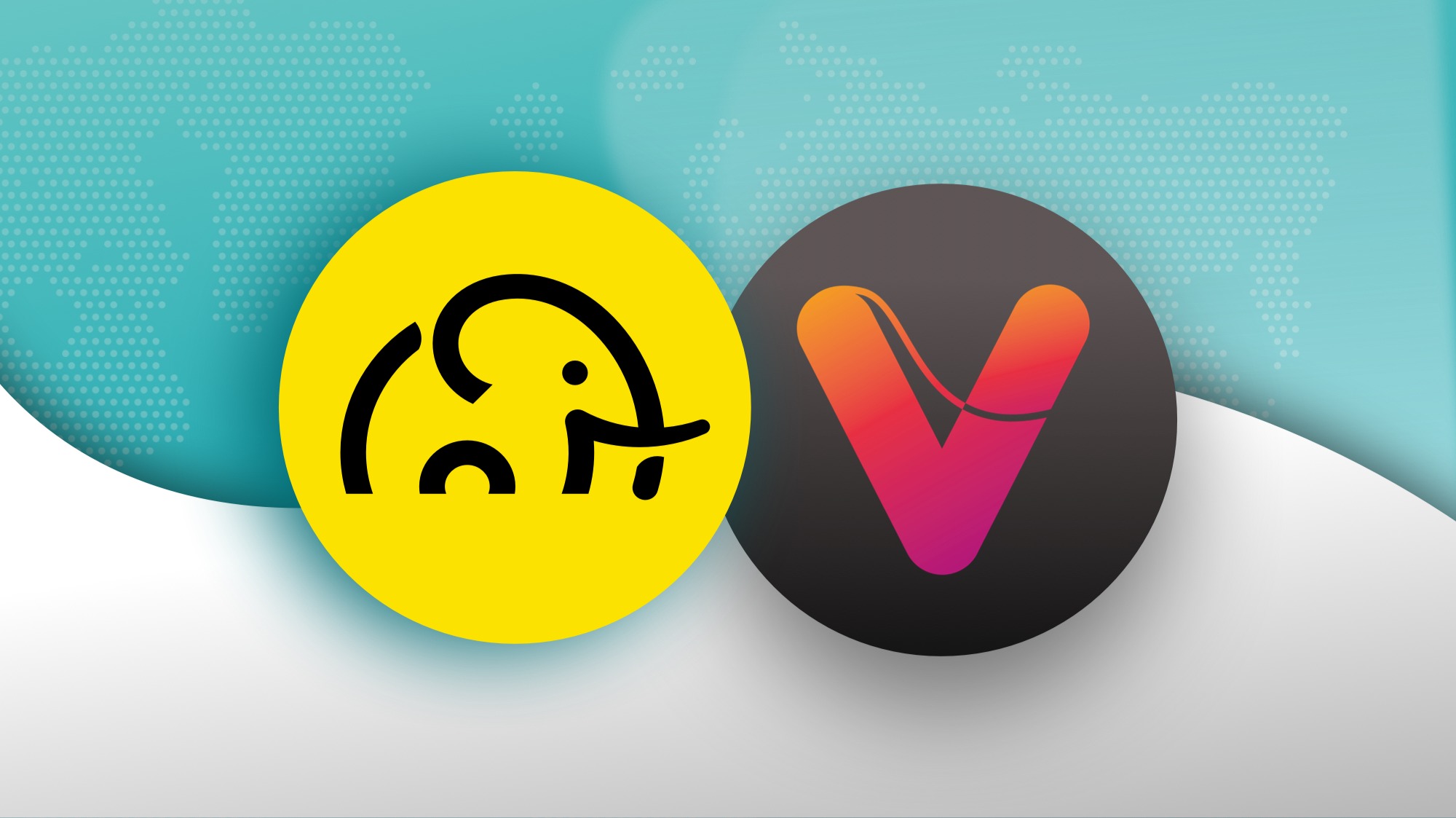 VooVoo NFTs now available through GoCrypto