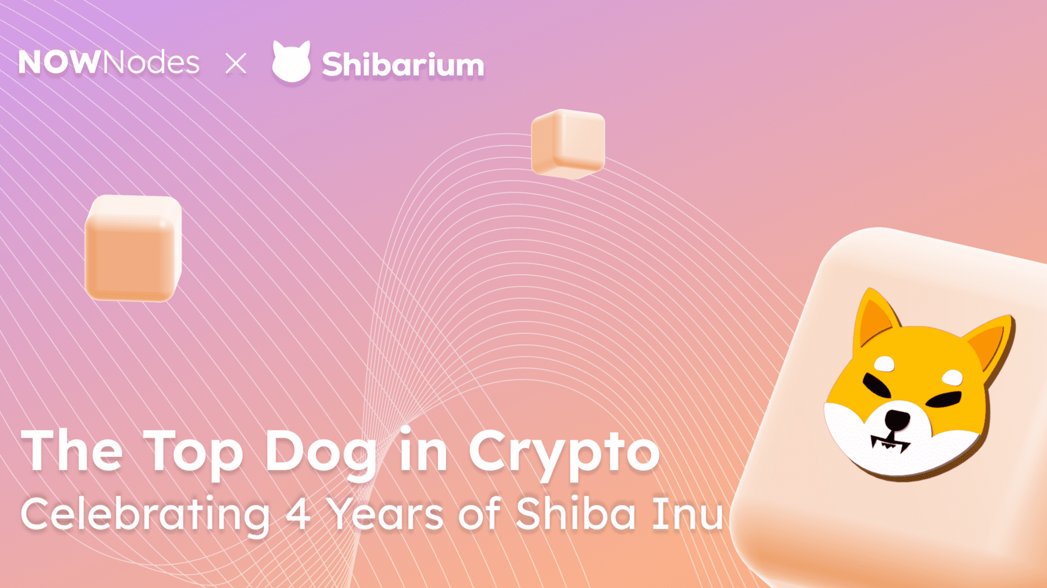 Celebrating 4 Years of Shiba Inu: The Top Dog in Crypto