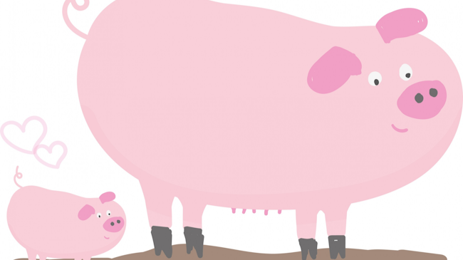 Ve a ver si ya puso la marrana / Go see if the sow has given birth