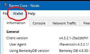 How to run a full Ravencoin node on Windows