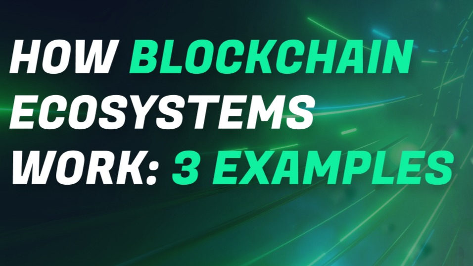 How blockchain ecosystems work: 3 examples